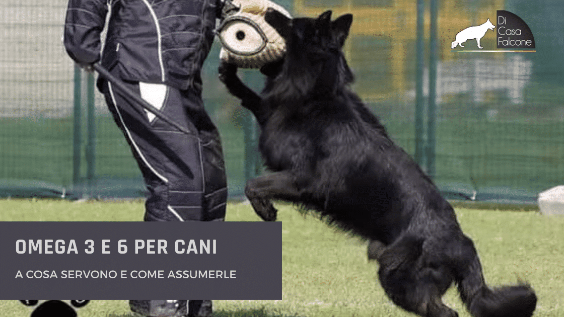 Omega 3 e 6 per Cani - Cuccioli Pastore Tedesco Casa Falcone